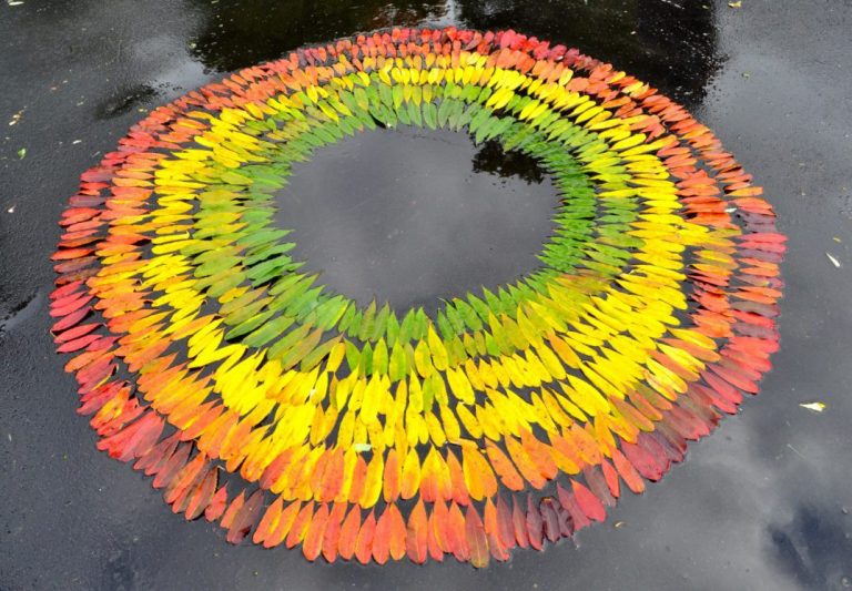 Andy Goldsworthy: Artist that Collaborate with Nature | Horn Necklace