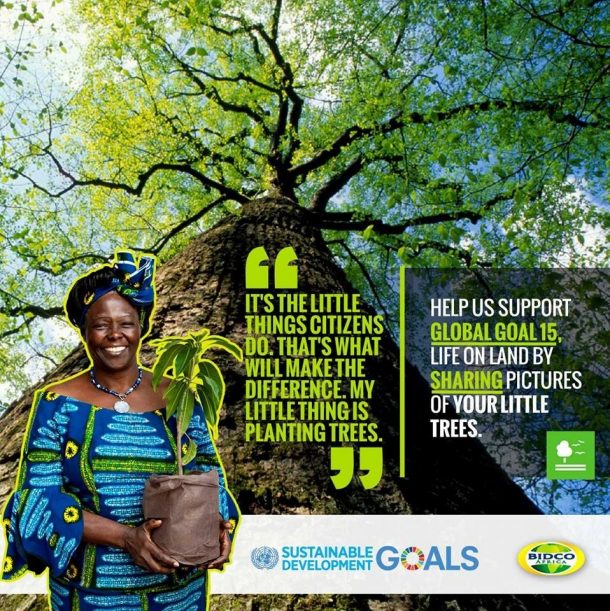 Wangari Maathai Environmental Hero from Kenya | Horn Necklace