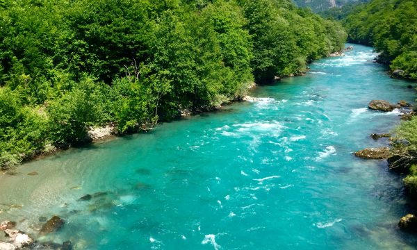 The Cleanest River in the World | Horn Necklace Sarah Beekmans
