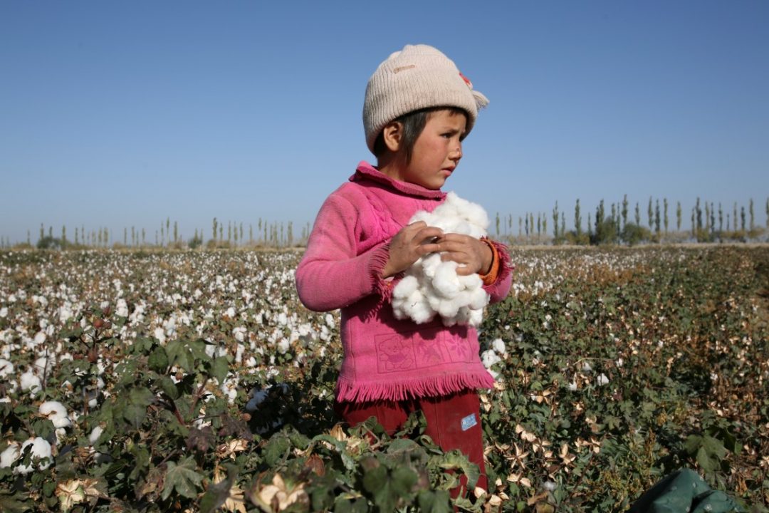 Bangladesh Children labor in the Fast Fashion Industry | Horn Necklace