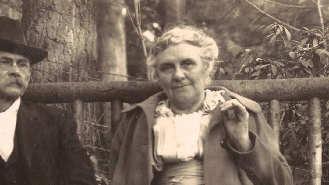 Anna Botsford Comstock Contributions to Environmental Science